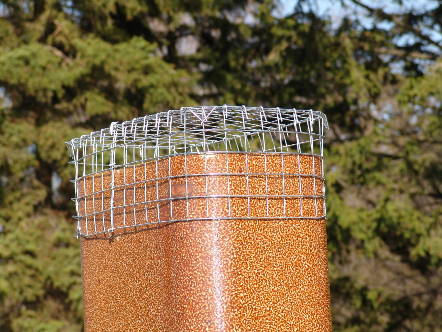 Wildlife Prevention | Gates Wildlife Control