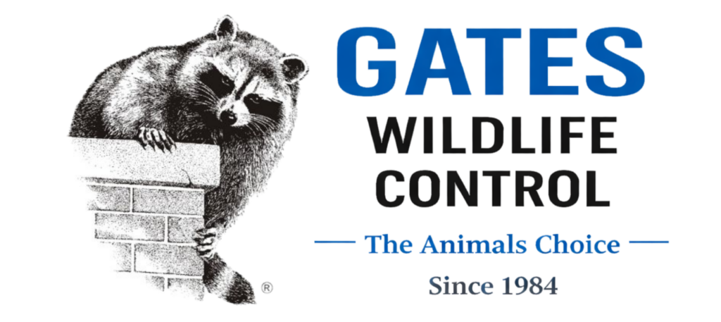 7 Ways to Keep Raccoons Out of Your Trash - Gates Wildlife Control ...
